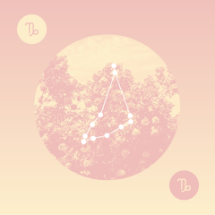 Aquarius Monthly Horoscope: January 2025 | Horoscope.com